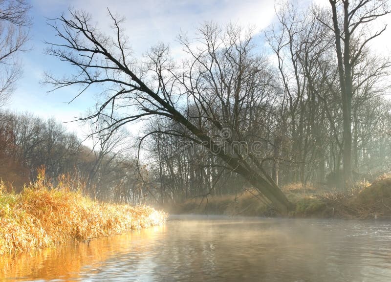 River stock photo. Image of landscape, river, mist, nature - 63746828