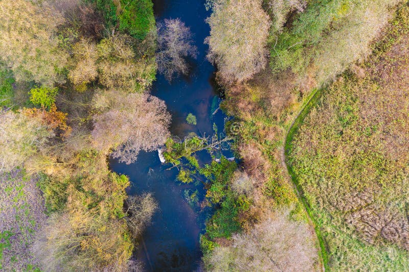 River seen from above stock image. Image of bough, color - 134796181