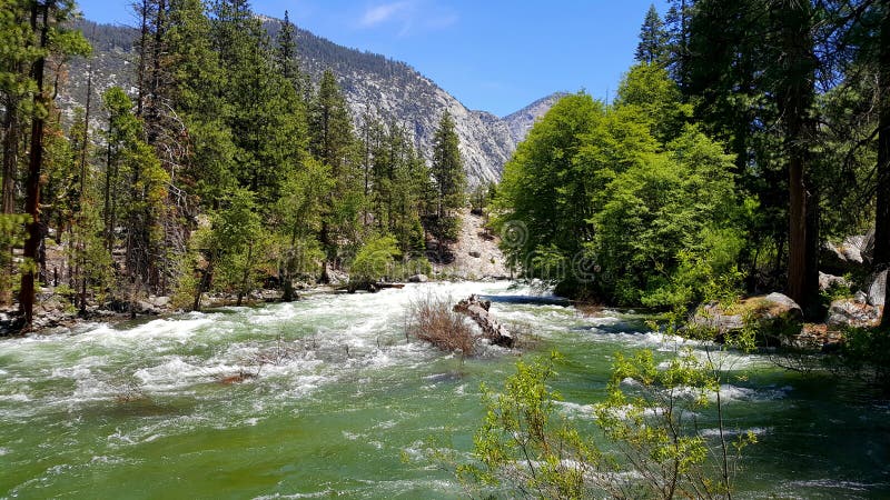 River in Sequoia National Park with Blue Sky in Background. Stock Photo ...