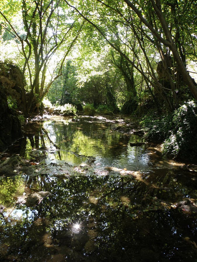 River with Reflection in the Forest Stock Photo - Image of tranquil ...