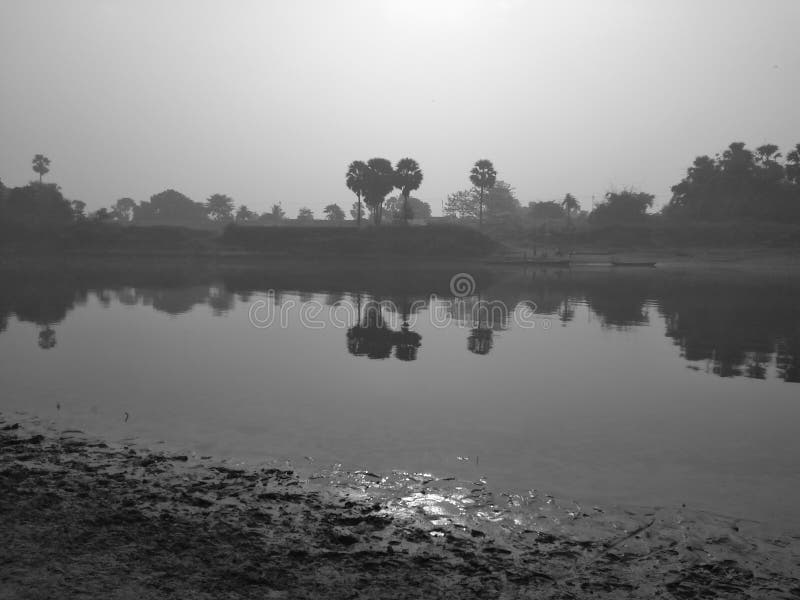 River stock image. Image of looking, cool, trees, shadow - 130836261