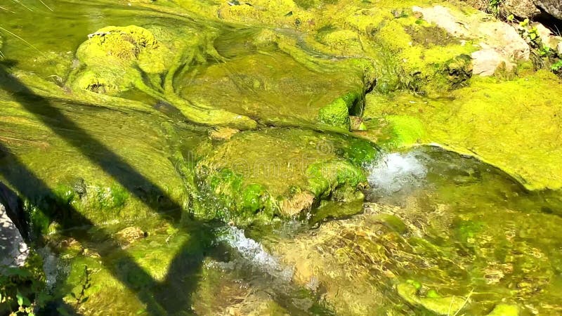 A River with a Shallow Depth and Silt Stock Video - Video of nature ...