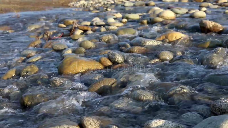 River Shallow Water Stream Closeup Stock Footage - Video of scenics ...
