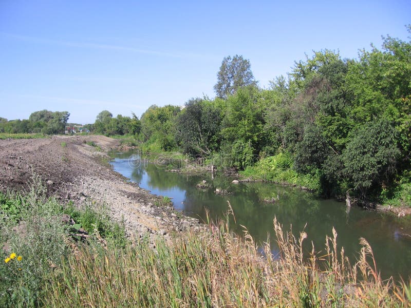 The River Shallowed a Stream with Banks in the Grass in the Summer ...
