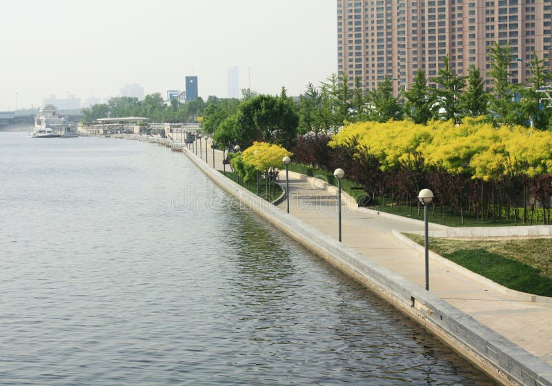River Shore stock photo. Image of river, shore, trees - 24649344