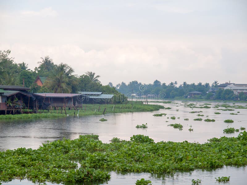 River shore landscape. stock image. Image of trees, park - 92601721