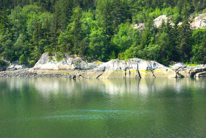 River Shoreline Reflecting Trees in Emerald Greens Stock Image - Image ...
