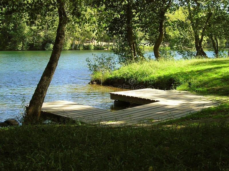 River Side Trail at Night, Lined with Palm Trees at the University of ...