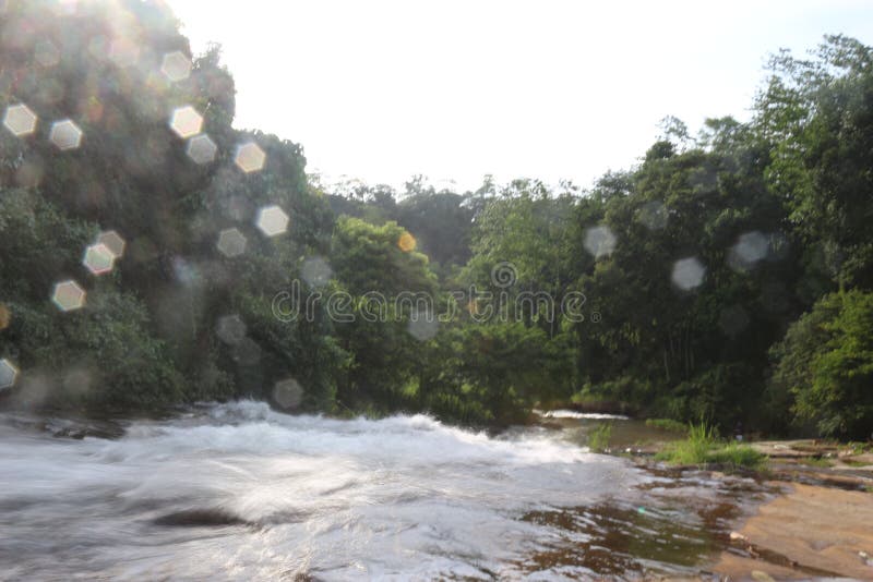 River side capture stock photo. Image of save, feel - 149121580