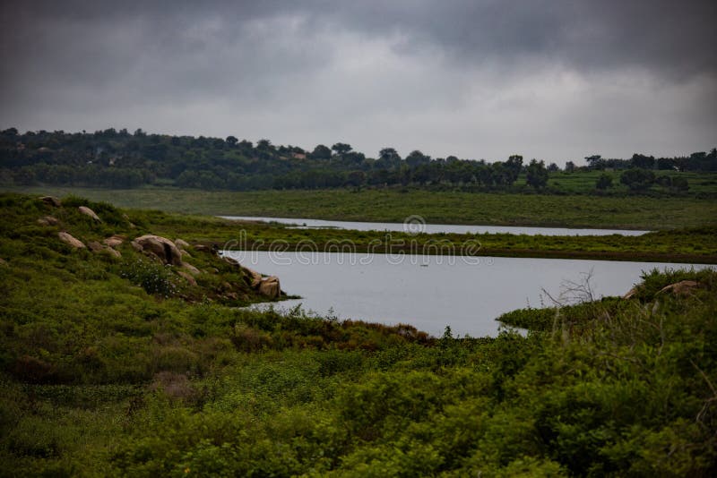 River side forest stock photo. Image of waterway, side - 197194224