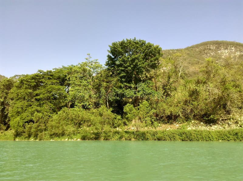 River side stock photo. Image of side, mexico, trees - 98222950
