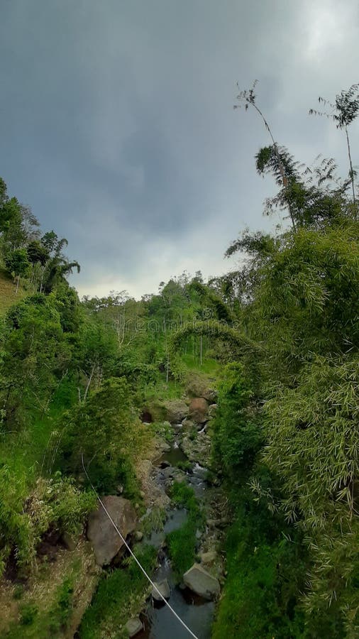 Big Manggo Tree Stock Photos - Free & Royalty-Free Stock Photos from ...