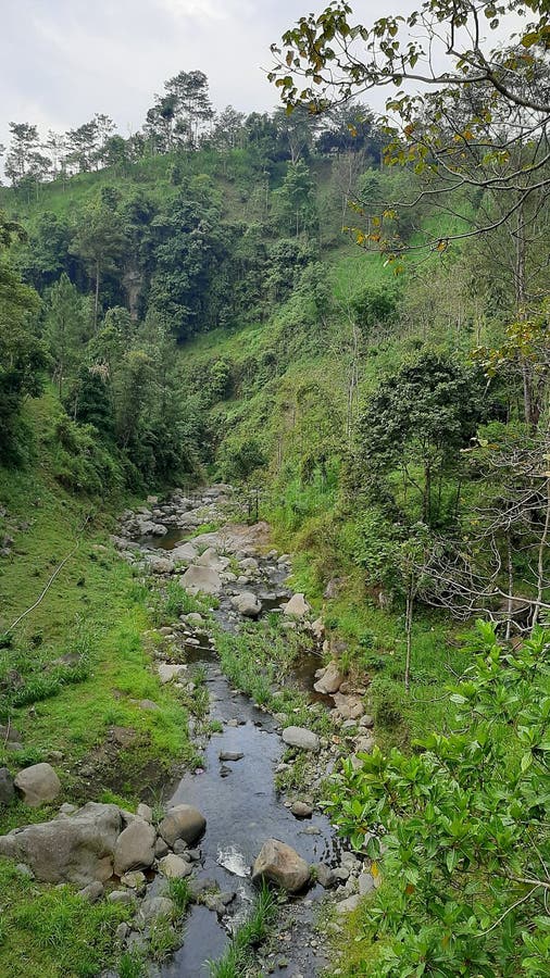 RIVER SIDE from HIGH CLIFT stock photo. Image of jungle - 209945690