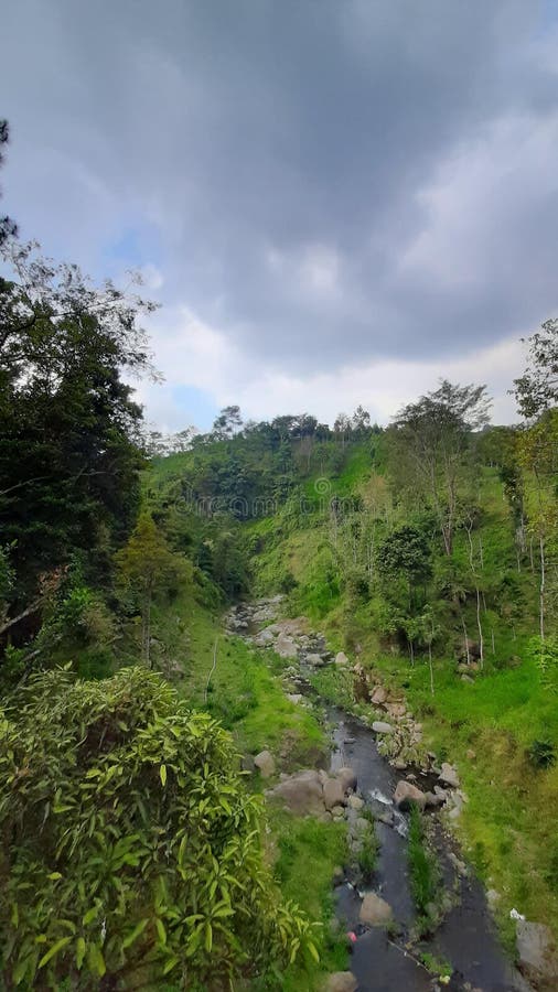 River side from high clift stock photo. Image of rock - 209945680