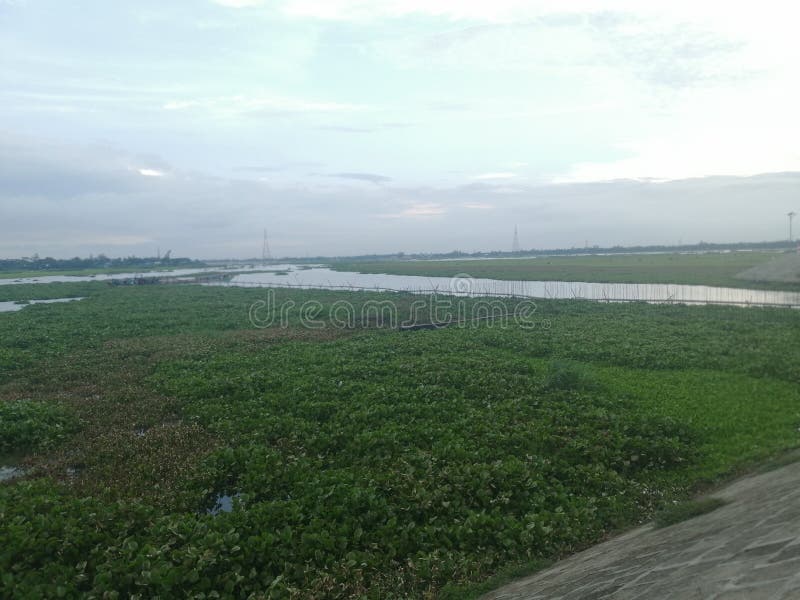 Natureriversky Stock Photos - Free & Royalty-Free Stock Photos from ...