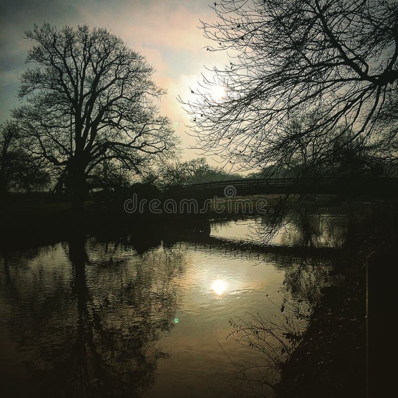 River side stock photo. Image of side, river, trees - 83396076