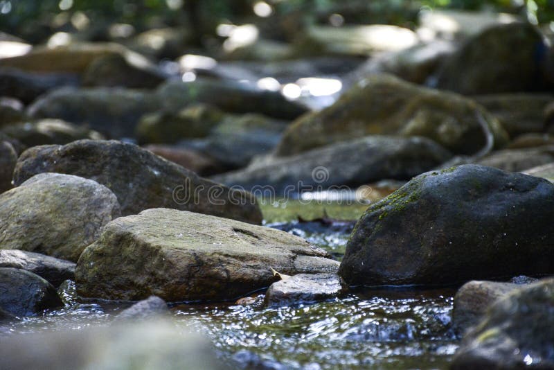 River side stock image. Image of stone, side, flow, running - 93338447