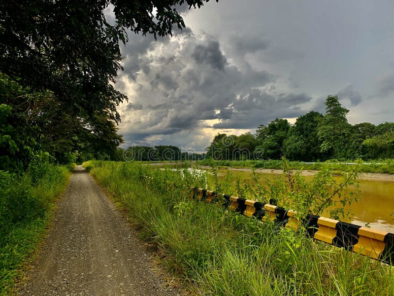 River side with rough road stock photo. Image of plant - 230700522