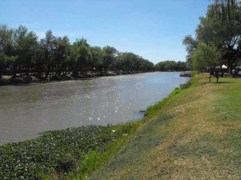 River side stock image. Image of side, trees, sunny, verde - 98222959