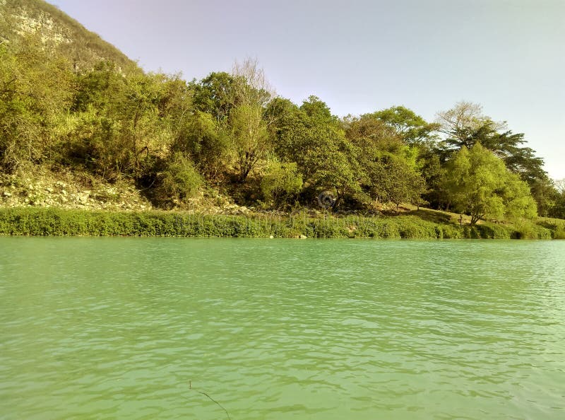 River side stock photo. Image of side, sunny, vegetation - 98222962