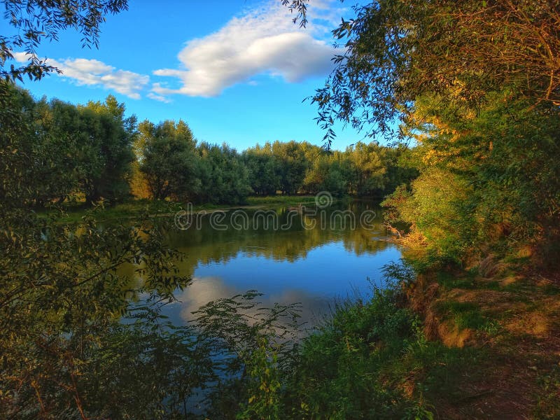 River side view stock photo. Image of wilderness, plant - 259547348