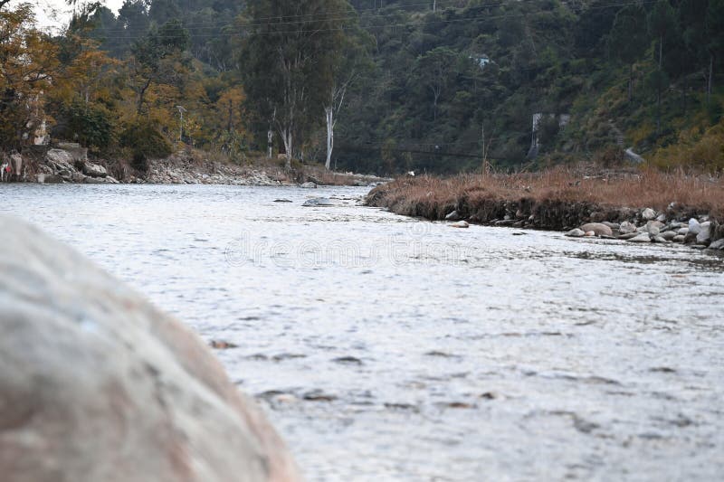 River Side View with Stones , Trees Stock Image - Image of environment ...