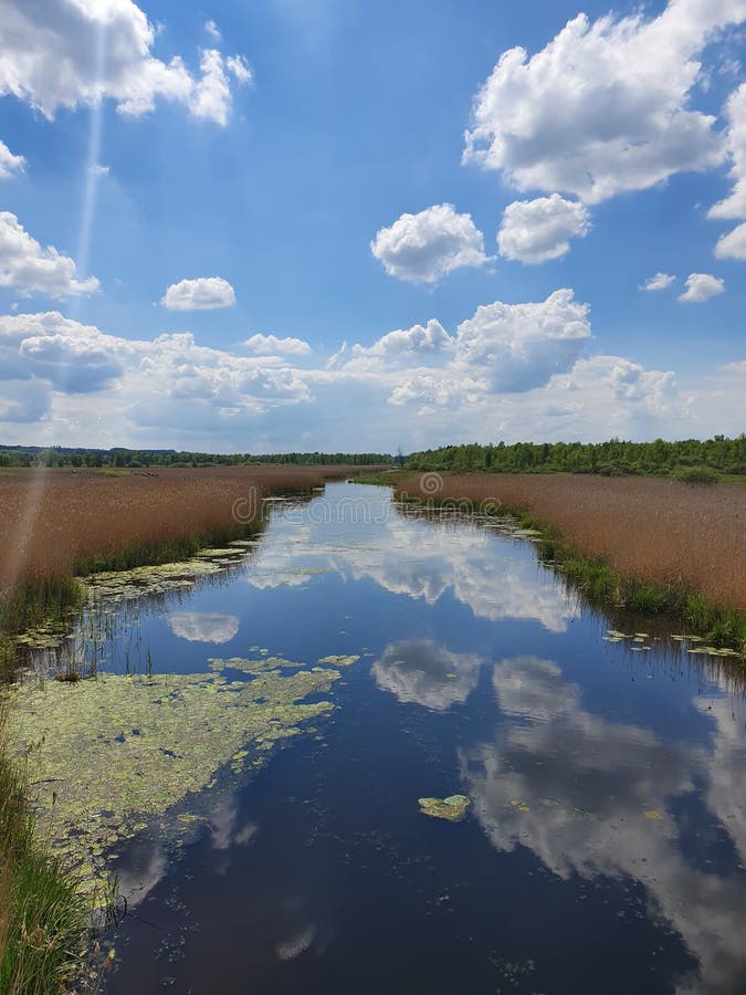 River stock photo. Image of blue, river, water, gras - 148831850