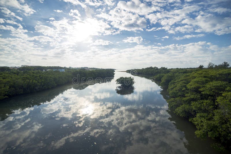River with sky reflection stock image. Image of plant - 88165403