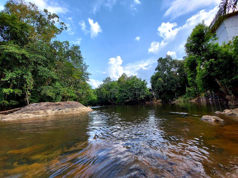 River and sky stock photo. Image of water, flow, tree - 211236324