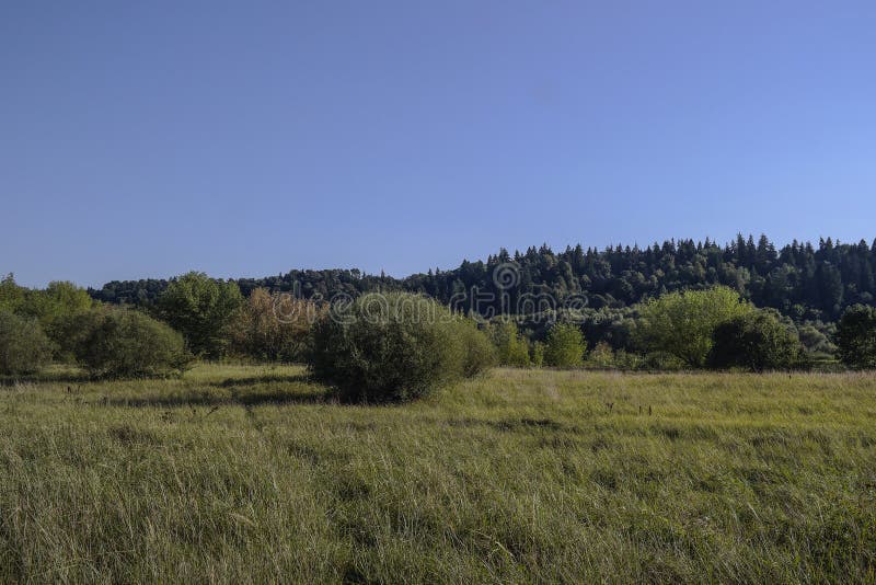 River from the slope stock image. Image of famous, beautiful - 132333701