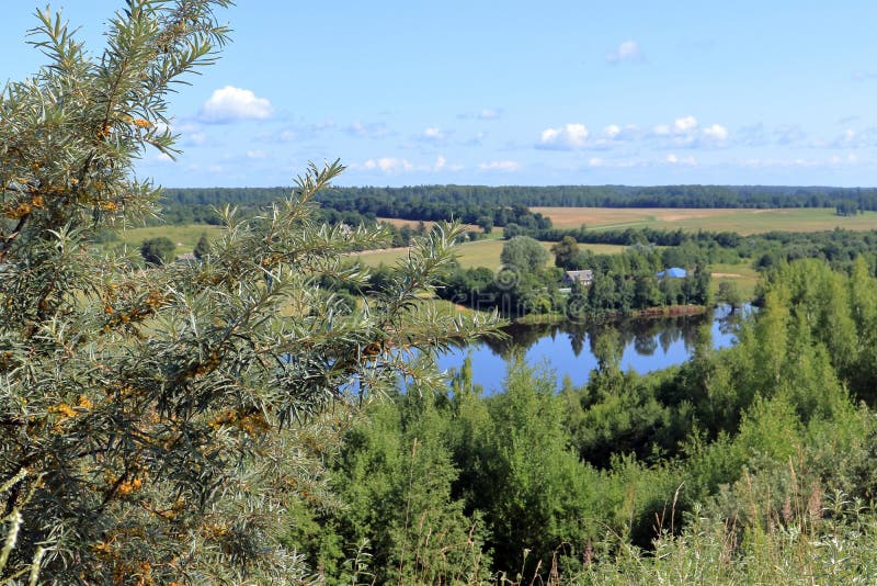 River on the slope stock photo. Image of forest, europe - 153866506