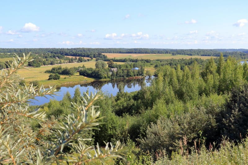 River on the slope stock image. Image of buckthorn, berry - 153866507