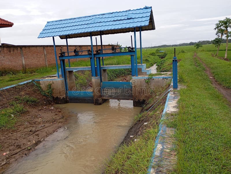 River Sluice Gate To Irrigate Rice Fields Stock Image - Image of ...