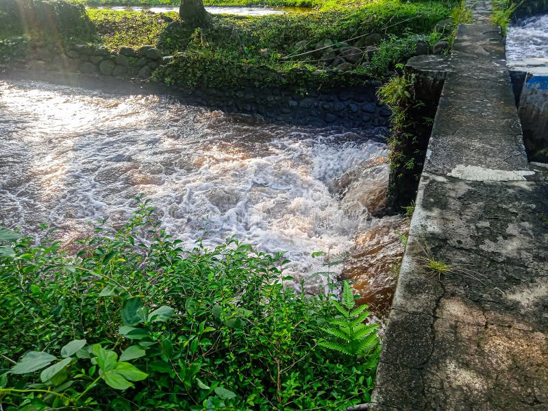 River Sluice and Paddy Irrigation Stock Photo - Image of natural, water ...