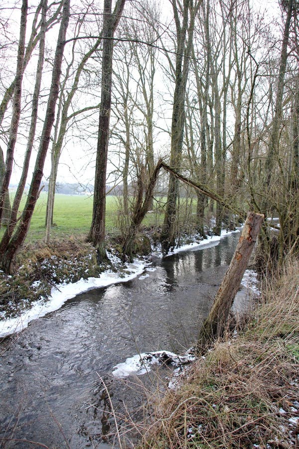 River, a Small River in the Countryside in the Middle of the Fields ...