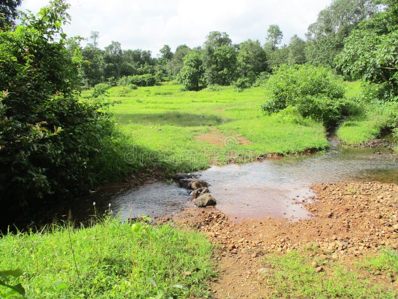 River Small Village House and Field on the River Bank Stock Image ...