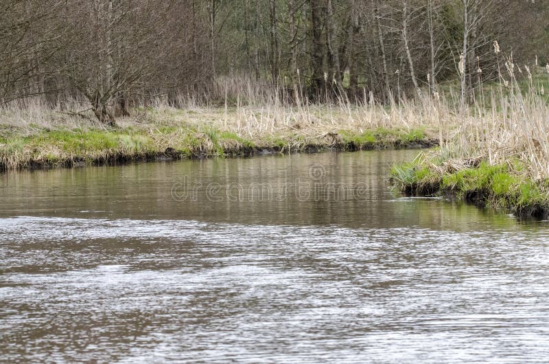A River with Small Rain at Spring Stock Photo - Image of rain, season ...