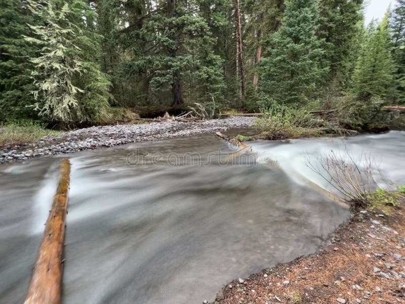 A River with Small Rapids Coming Down it Next To Trees Stock Photo ...