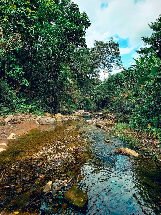 The River at Small Village with Pure Water Stock Photo - Image of pond ...