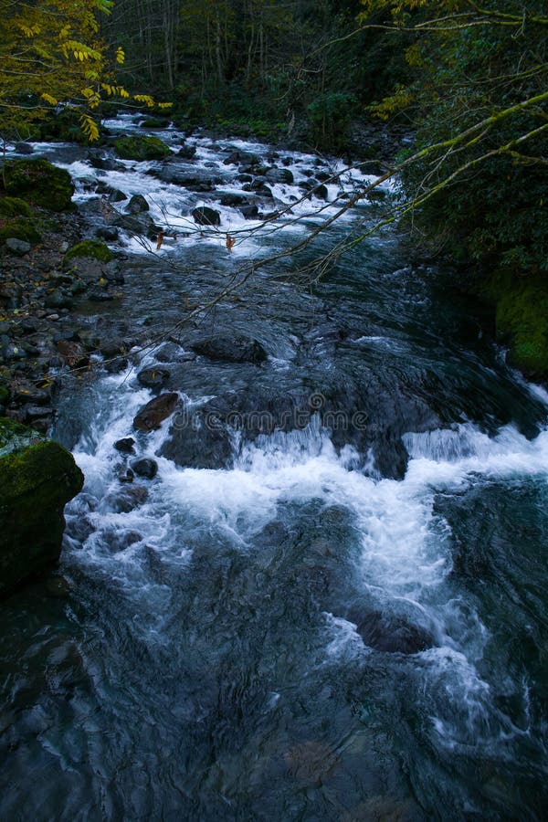 River with Small Waterfalls in Machachela National Park Stock Photo ...