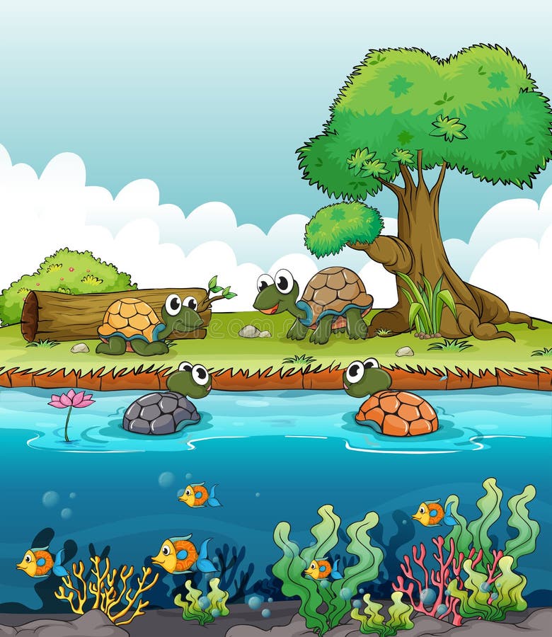 Ecosystem diagram stock vector. Illustration of earth - 88973692