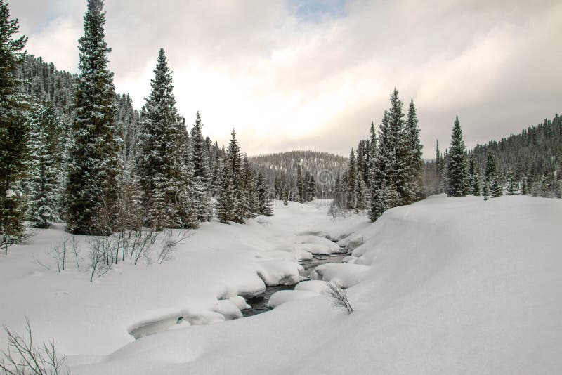 A river in a snowy forest. stock image. Image of color - 114612153
