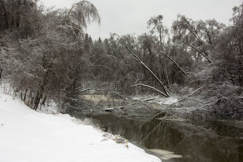 River in snowy forest stock image. Image of snow, landscape - 80443103