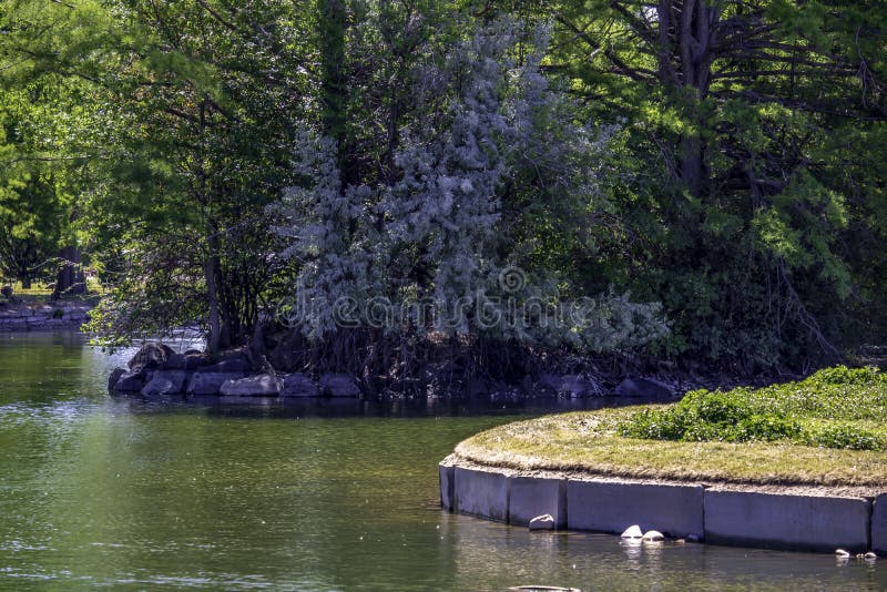 River Split stock photo. Image of grass, lake, stream - 152179146