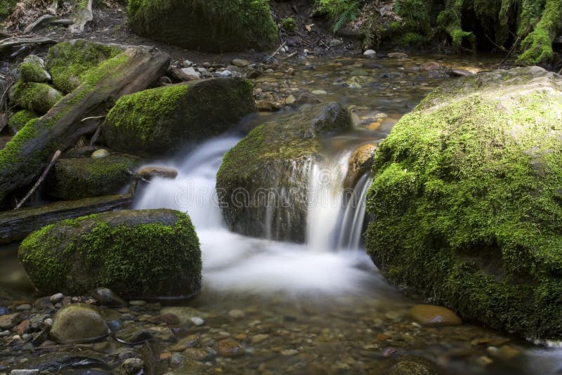 Mossy River Rocks stock image. Image of river, moss, mossy - 1525119