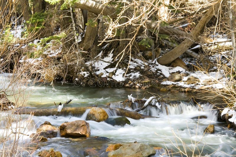 River during Spring stock photo. Image of stream, moving - 5142354