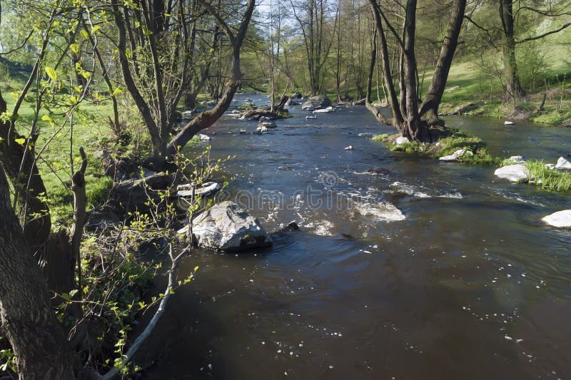 River in spring stock image. Image of beauty, fish, tackle - 115196665