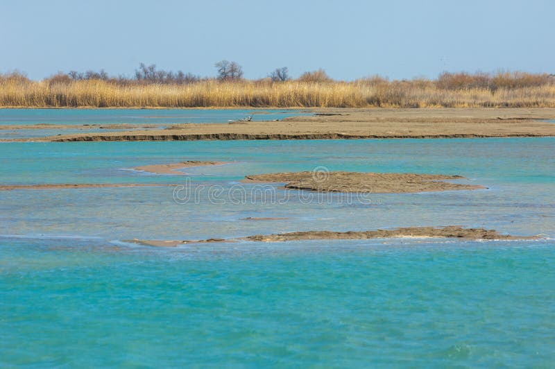 River spring stock photo. Image of blazing, grass, plant - 122726428