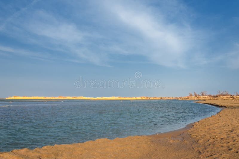River spring stock image. Image of shore, grass, blazing - 122726587