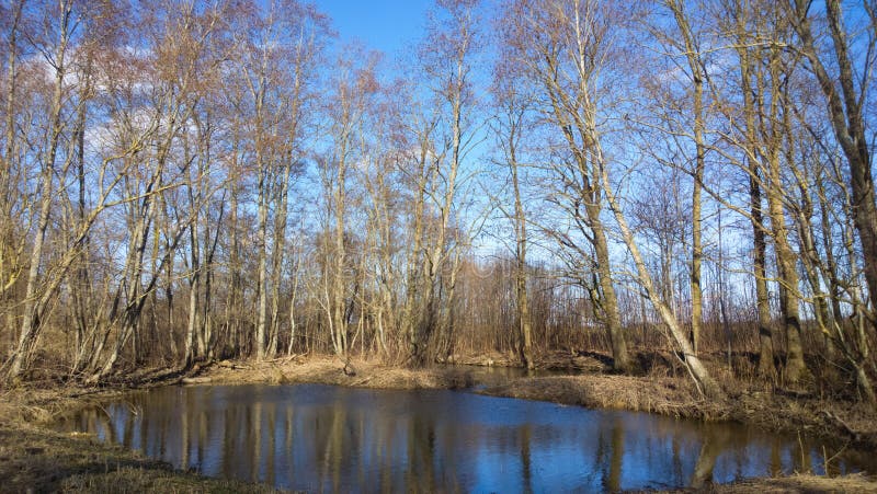 River in the Spring. Spring Landscape on the River. Stock Image - Image ...